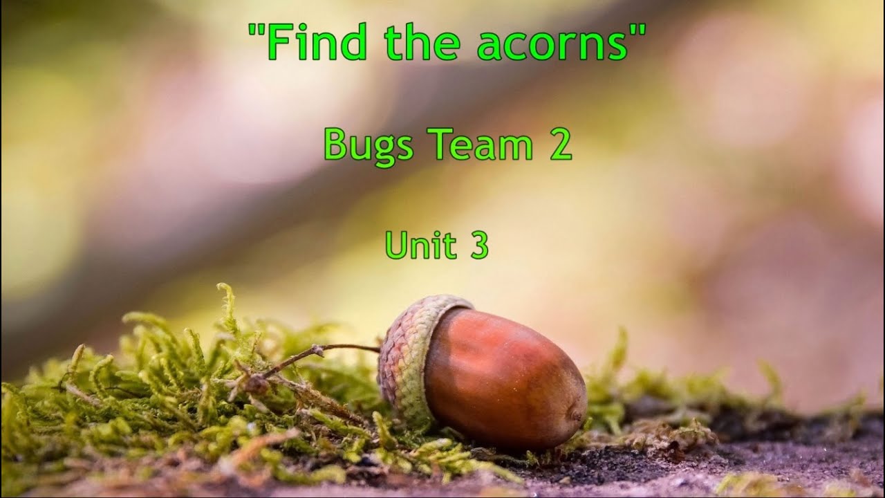 "Find the acorns" song, Bugs Team 2, unit 3. - YouTube