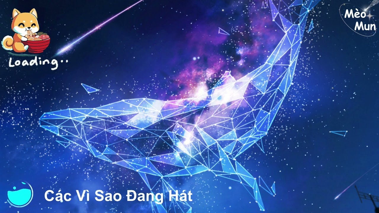 Mèo Mun 乌木猫 星星在唱歌 Các Vì Sao đang Hát Cmj Youtube