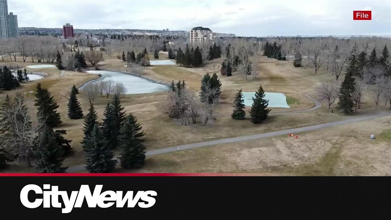 Calgarians will be able to golf this week as temperatures rise - YouTube