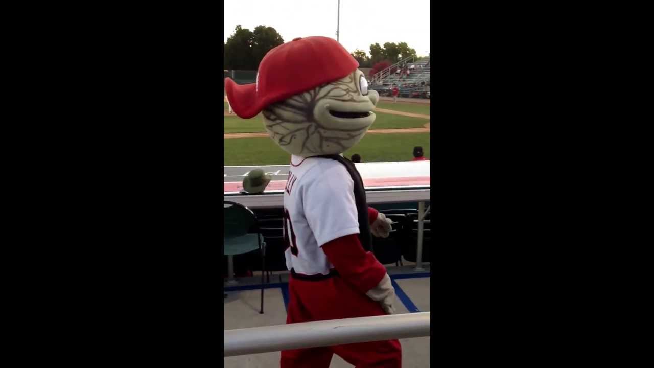 Modesto Nuts mascots dance-off - YouTube