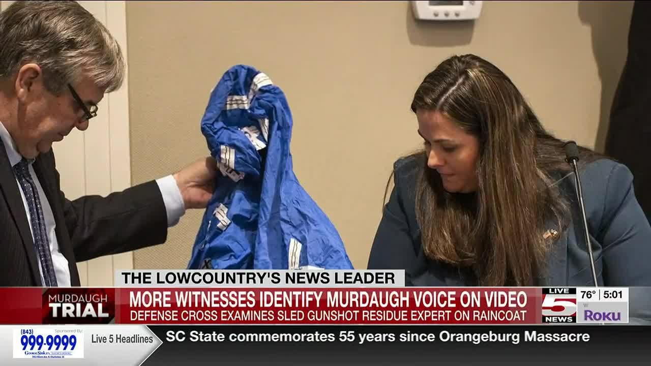 VIDEO: More witnesses identify Murdaugh voice on video during day 13 ...