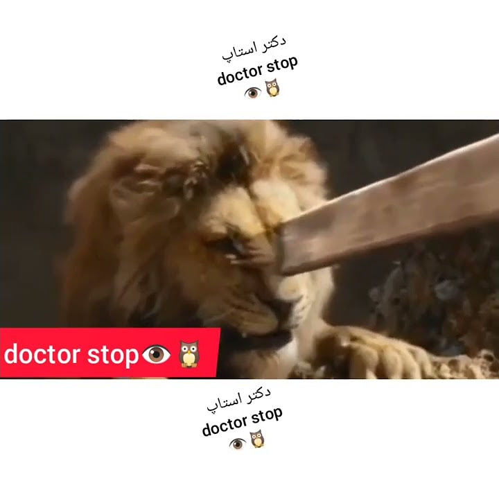 کون داری بیا بالا 😂 دکتر استاپ Doctor Stop Youtube