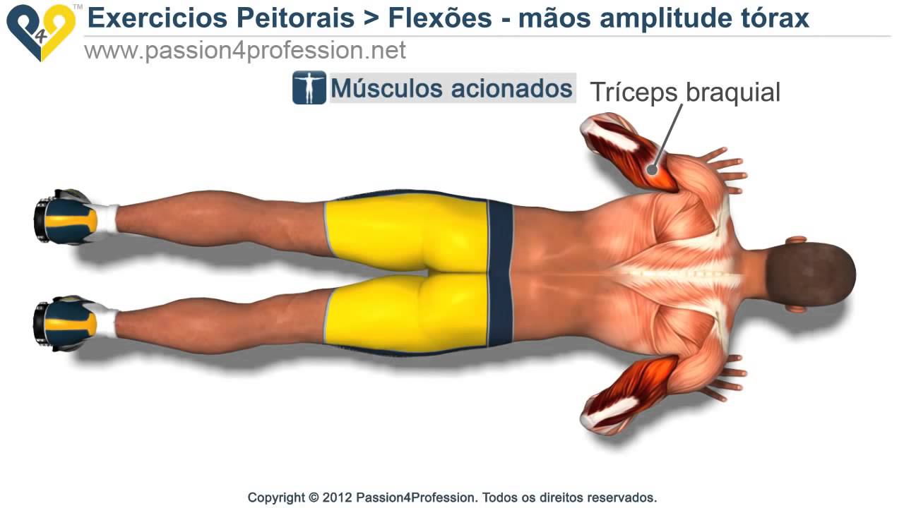 Como fazer flexoes, exercicios flexões para peitoral, flexoes de braço ...