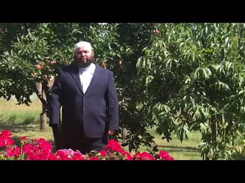 Selame të përzemërta. Me fat festa e kurban Bajramit! - Hoxhë Fatmir Latifaj
