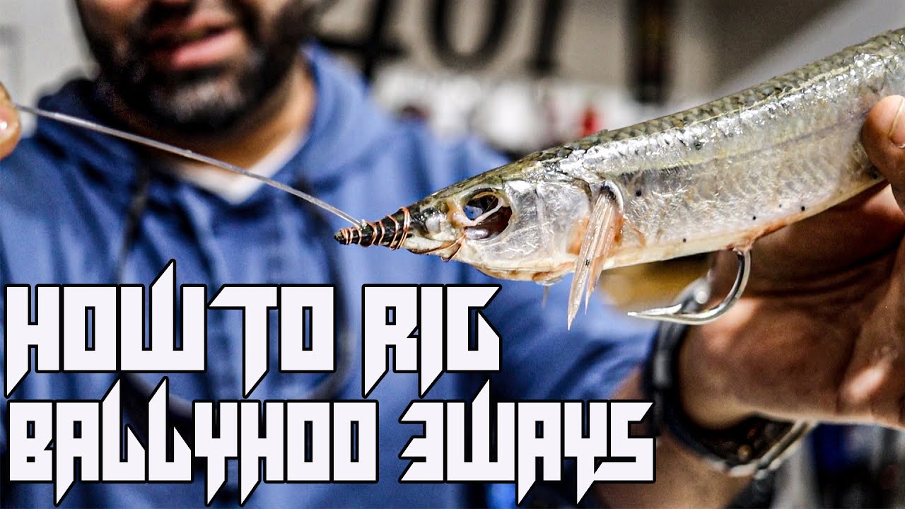 How To Rig Ballyhoo For Offshore Fishing 3 Different Ways! - YouTube
