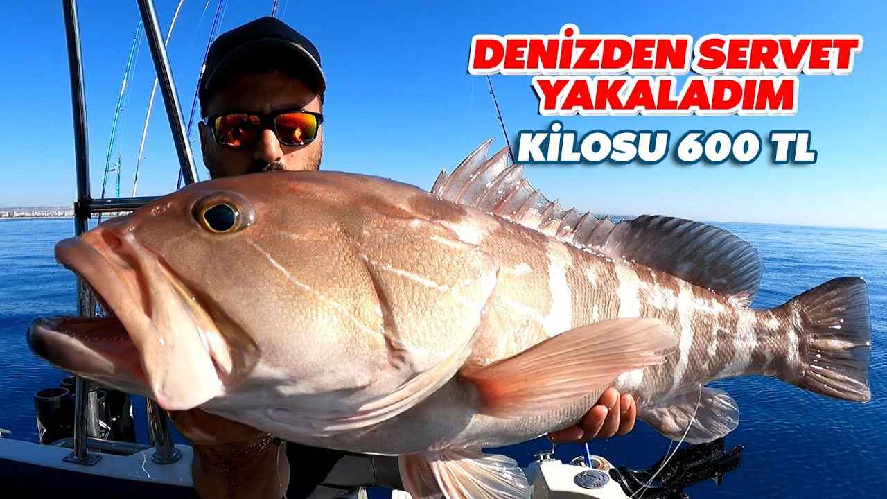 Denizlerin En Pahalı Balığı / Zümrüt Gözlü Ak Lahoz - YouTube