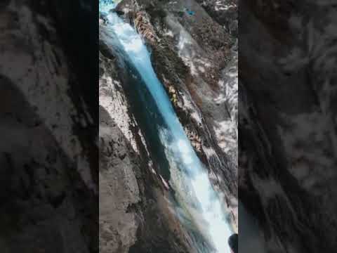 #shorts #swimming. 🍃