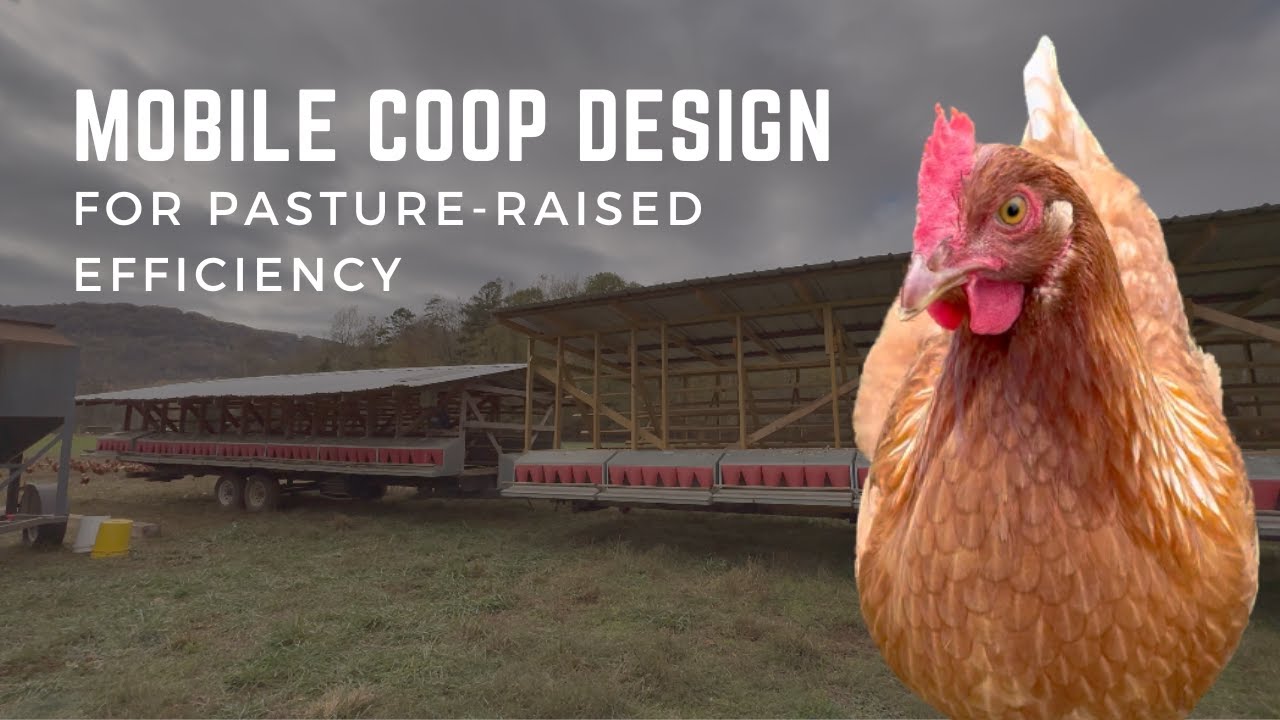 Mobile Coop Design Tips for Raising Chickens on Pasture - YouTube