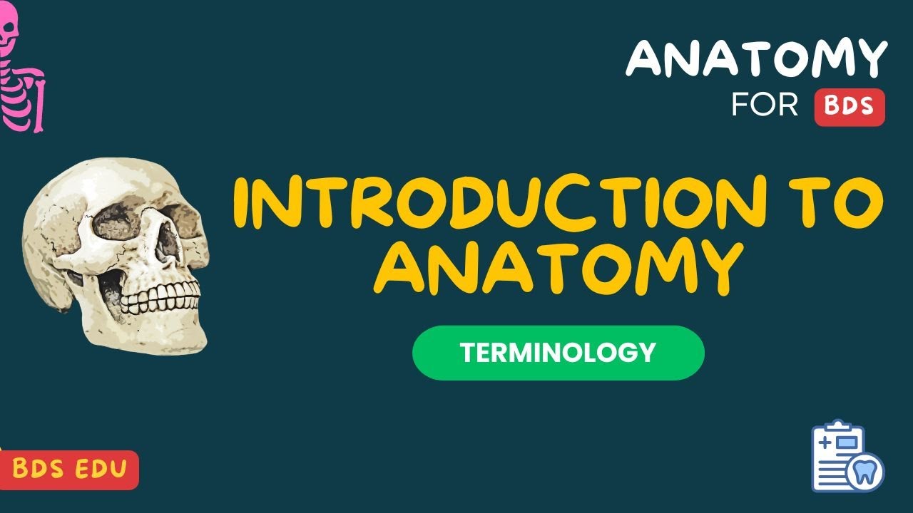 Terminology-01 | Anatomy for BDS | BDS Edu - YouTube