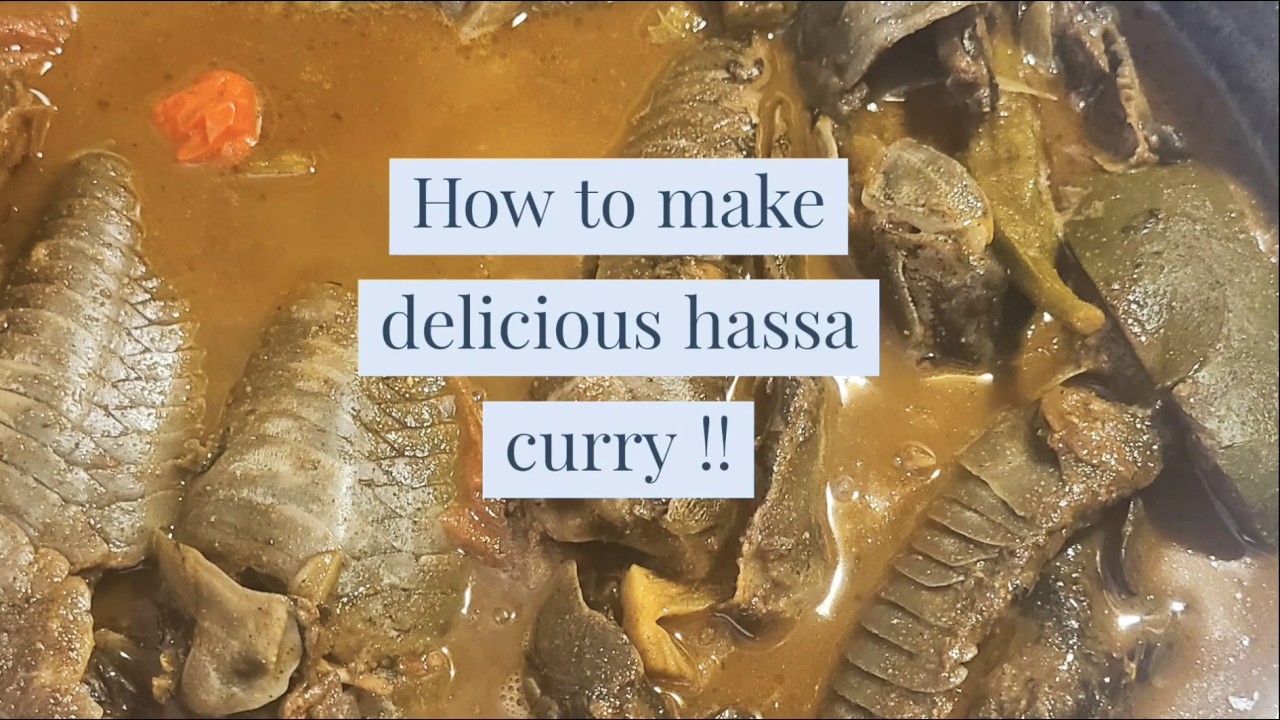 How to make delicious hassa curry - YouTube