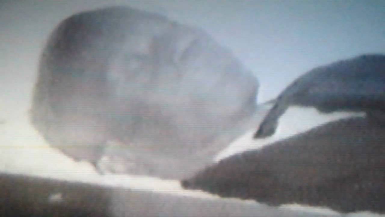 COGIC FOUNDER BISHOP C H MASON - YouTube