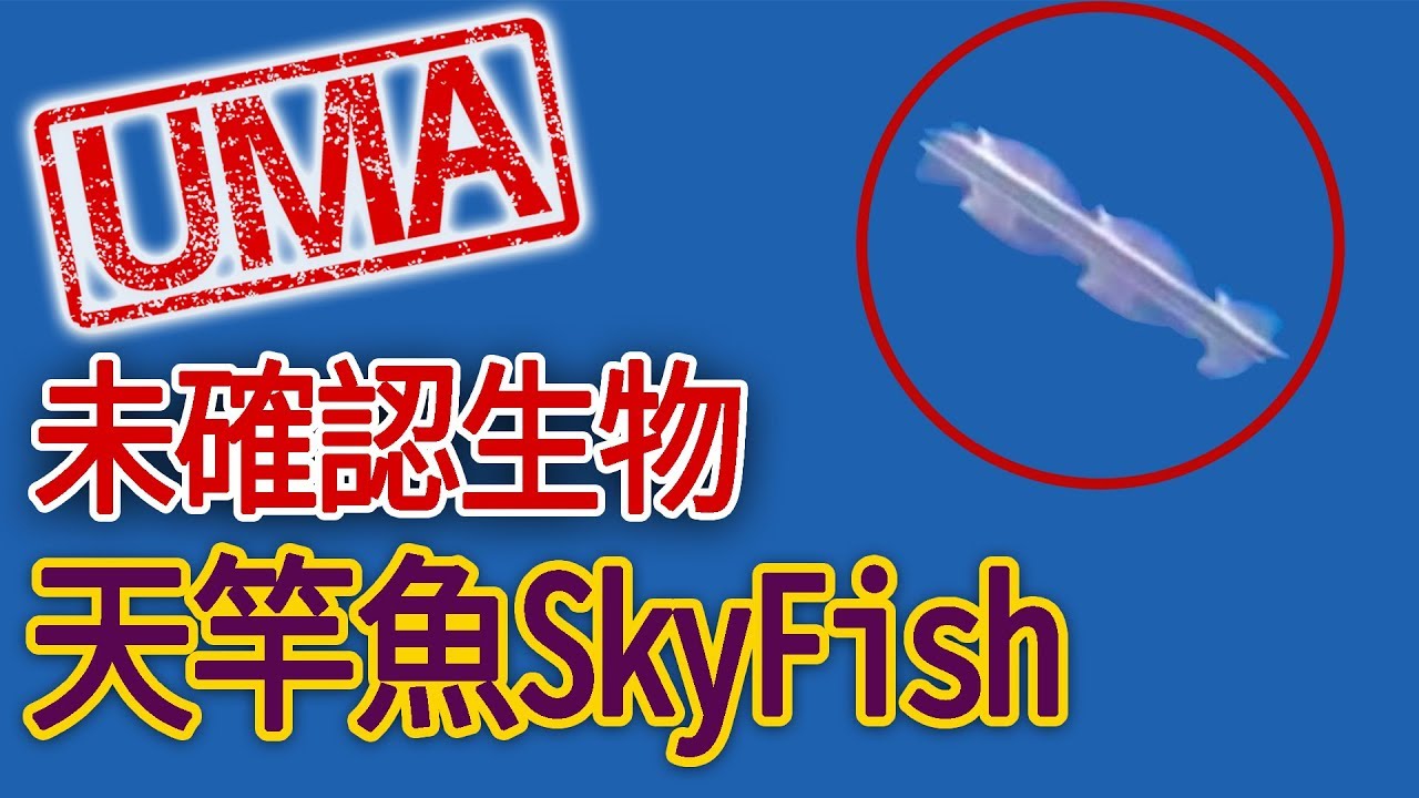 【UMA檔案】天竿魚Skyfish-穿越次元的極速飛行體 |飛棍|flying rods|未確認生物|神秘生物|超自然|古文明|外星人 ...