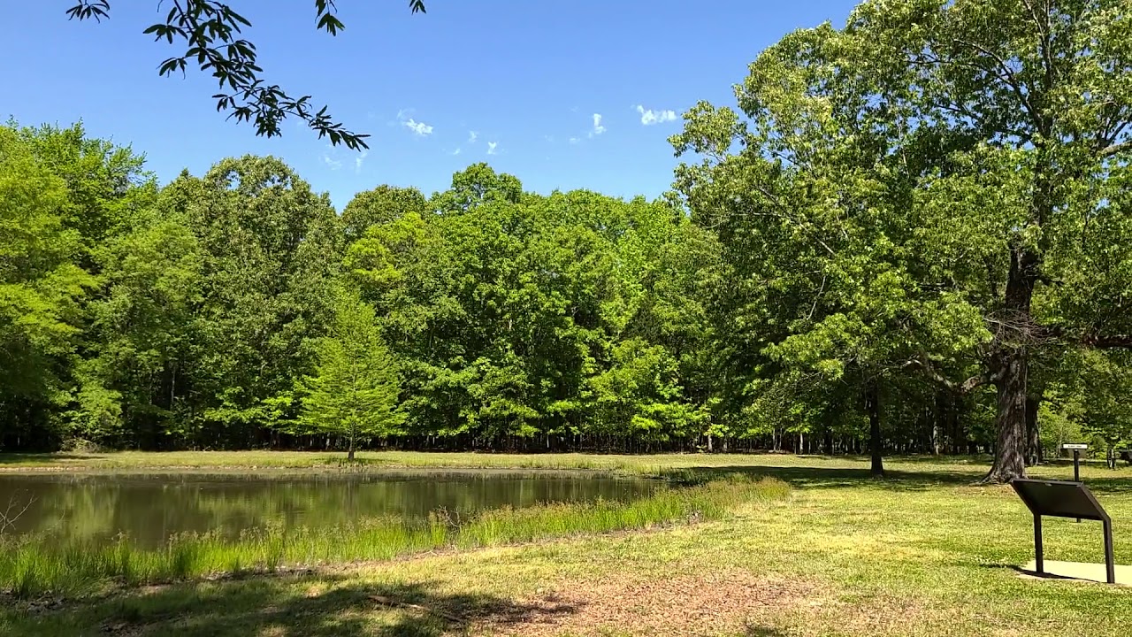 Shiloh national park - Bloody pond - YouTube