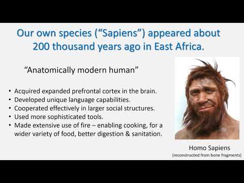 DNA Evidence for The Theory of Evolution - YouTube