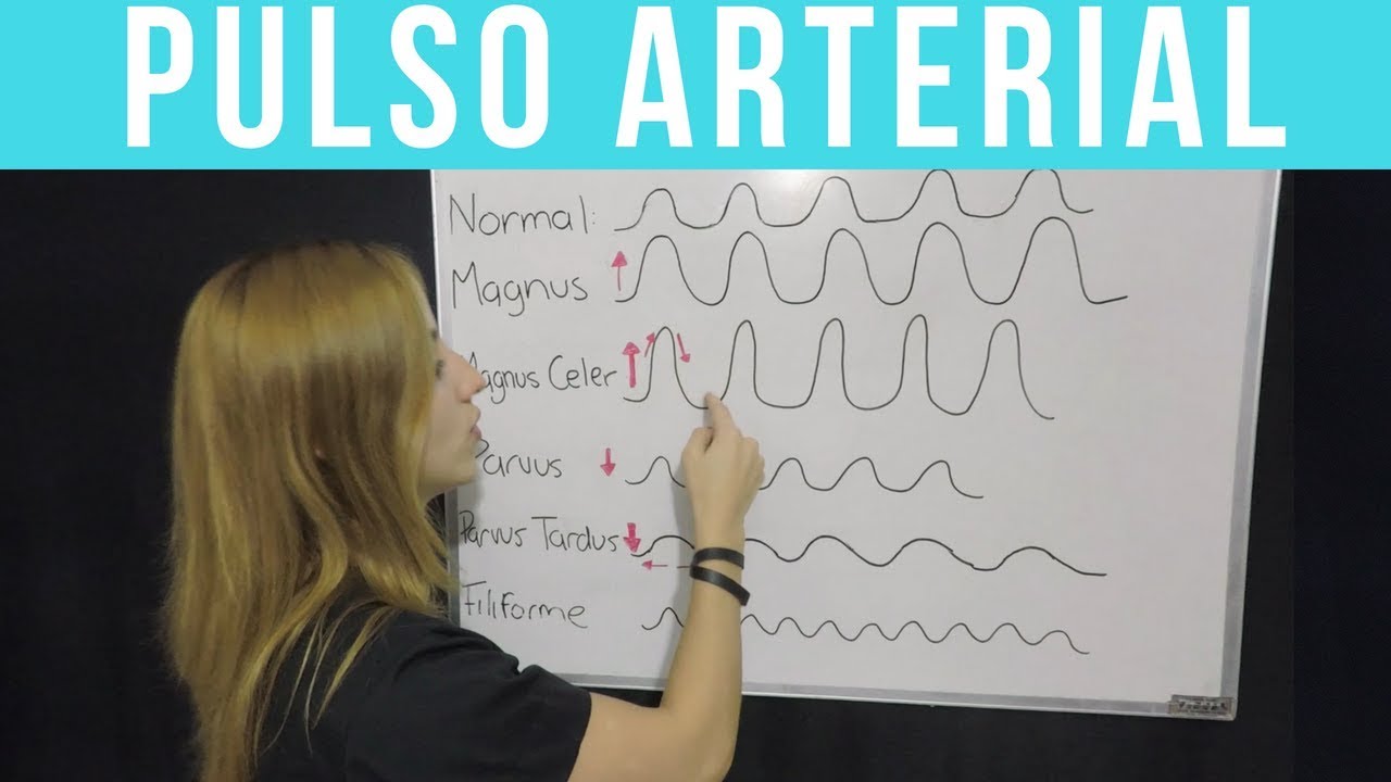 PULSO ARTERIAL ¡Todo lo que tienes que saber! | Mentes Médicas - YouTube