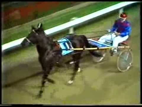 Harness Racing,Harold Park-28/03/1980 (Hondo Grattan-A.D.Turnbull ...