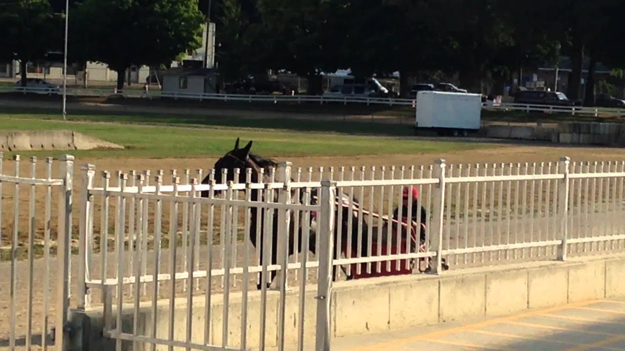 Wayne County Fairgrounds Wooster Ohio trainer pacing harness racing ...