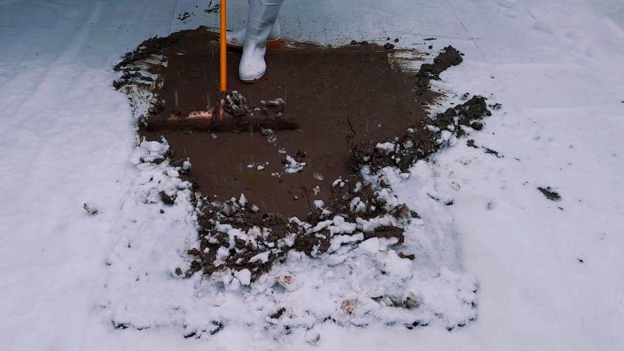 Frozen mud carpet - When snow fights with mud - carpet cleaning ...