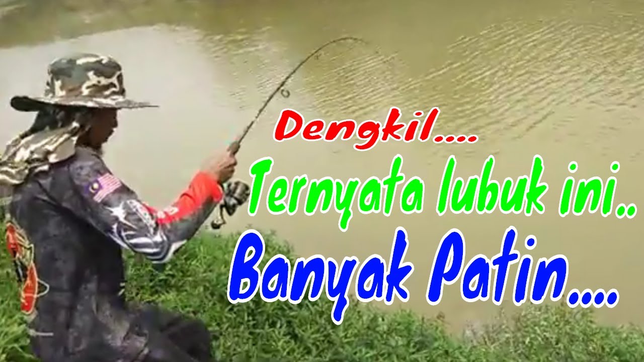 Patin Sungai Dengkil - YouTube