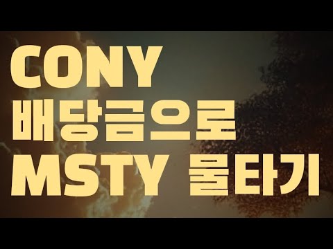 CONY ETF 배당금 들어왔네요 MSTY TSLY 물타기 나는 이 게임을 해봤어요~~!! 얼음!!! - YouTube