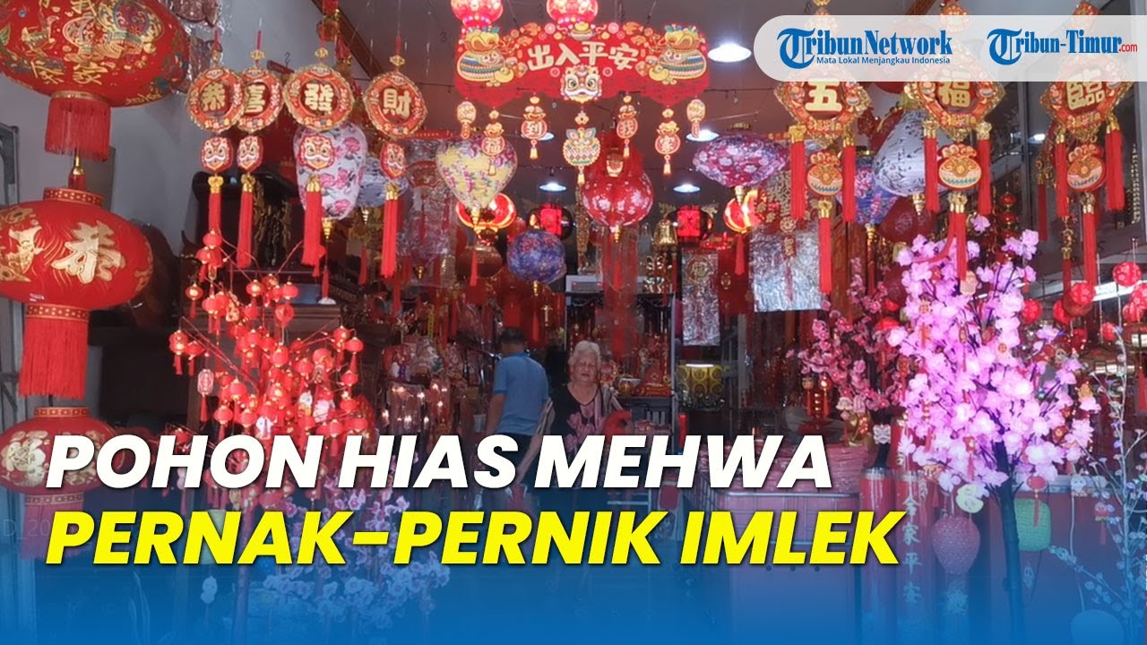 Pohon Hias Mehwa, Primadona Pernak-Pernik Imlek di Makassar - YouTube