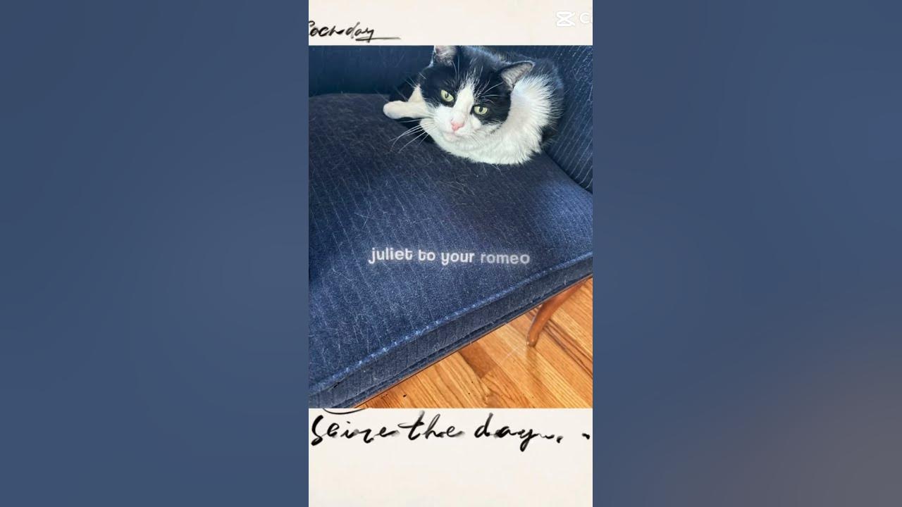 I would rather die than let you go…🫶🏼 - YouTube