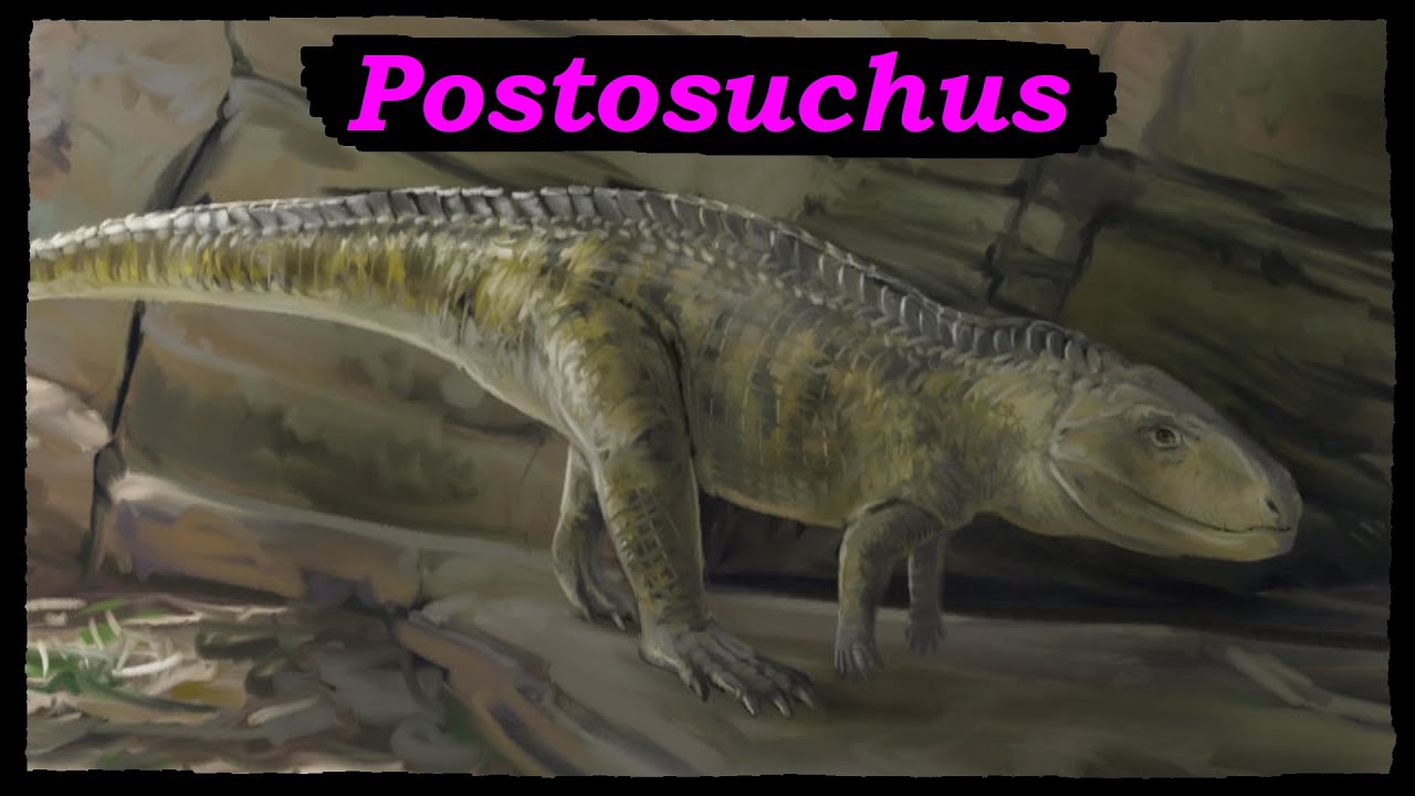 Postosuchus Size