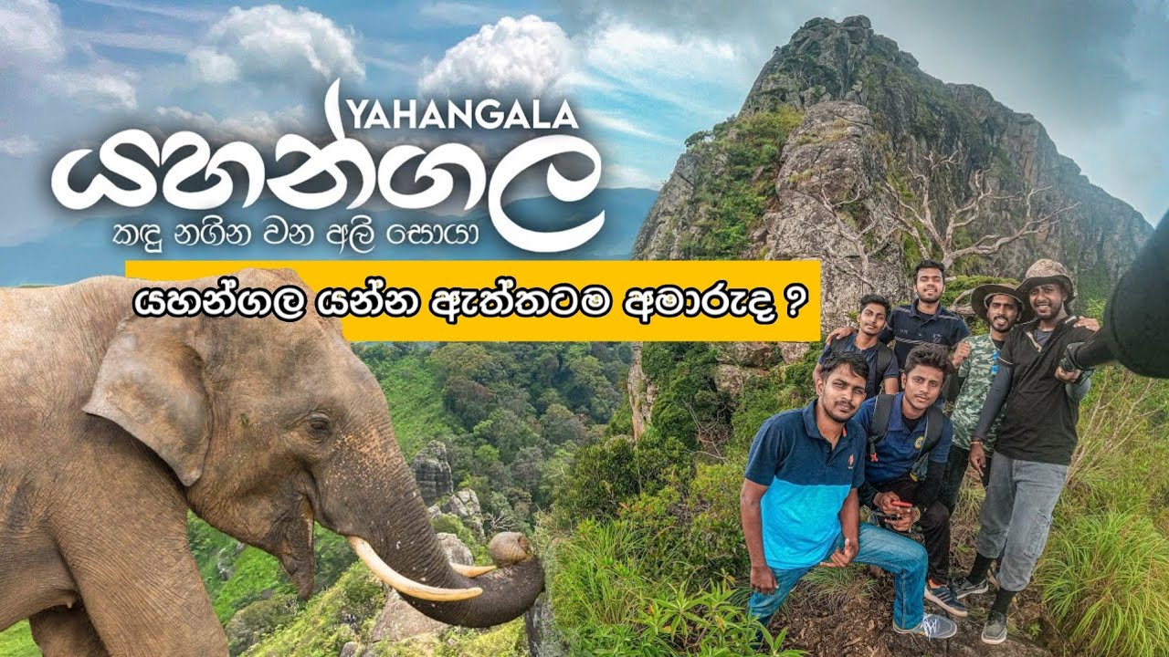 Yahangala | අලි වෙසෙන යහන්ගල සොයා | Riskiest Trek In Dumbara Hills | Knuckles | Vlog 26 - YouTube