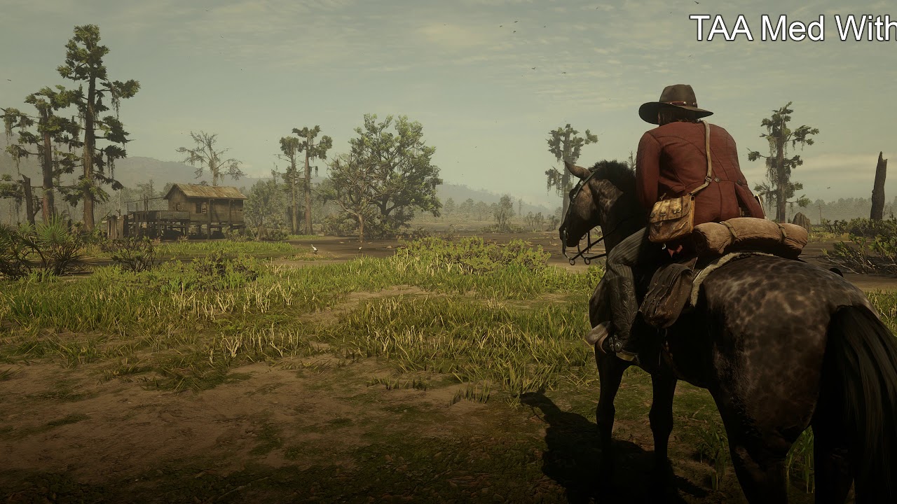 Red Dead Redemption 2 PC AA Comparisons (Archive) - YouTube