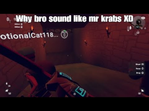 Why bro sound like Mr Krabs - YouTube