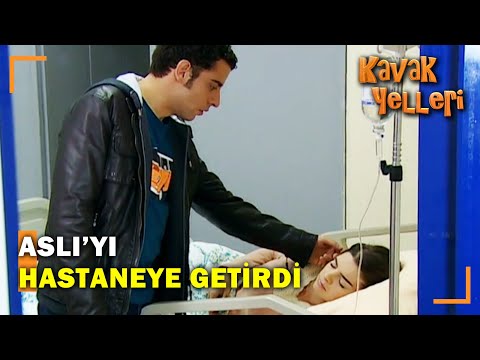 Efe, Aslı'nın Yanında Bekledi! - Kavak Yelleri 137. Bölüm