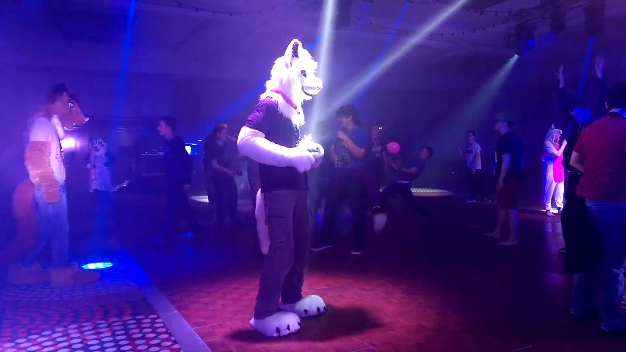 Confuzzled 2016 lost white wolf dancing XD - YouTube