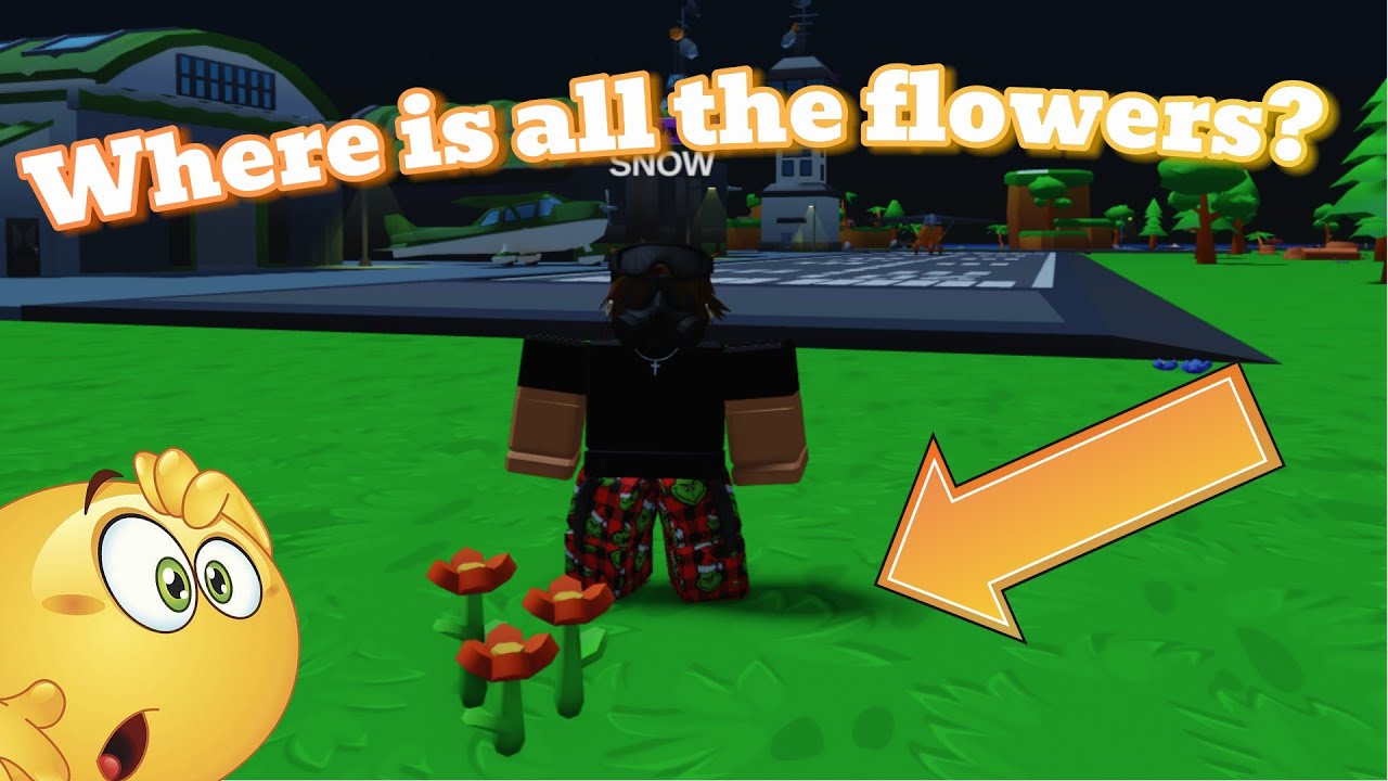 How to find all the flowers | Where is all the flowers | Fireworks ...