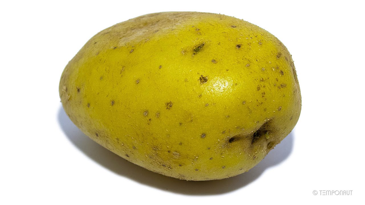 Potato Timelapse - YouTube