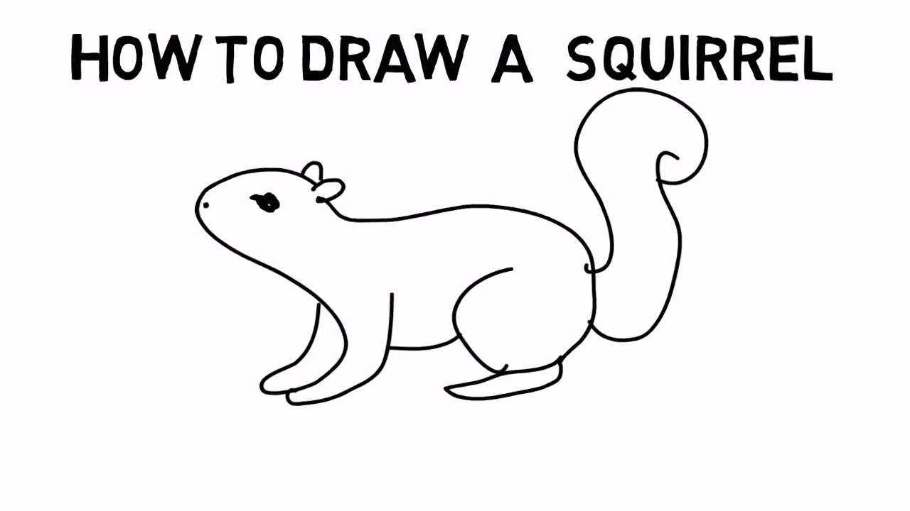How To Draw A Squirrel Squirrel Coloring Printable Prefixword