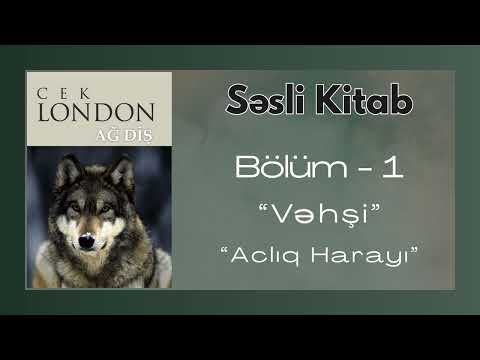 Jack London - Ağ diş  | Bölüm 1. \