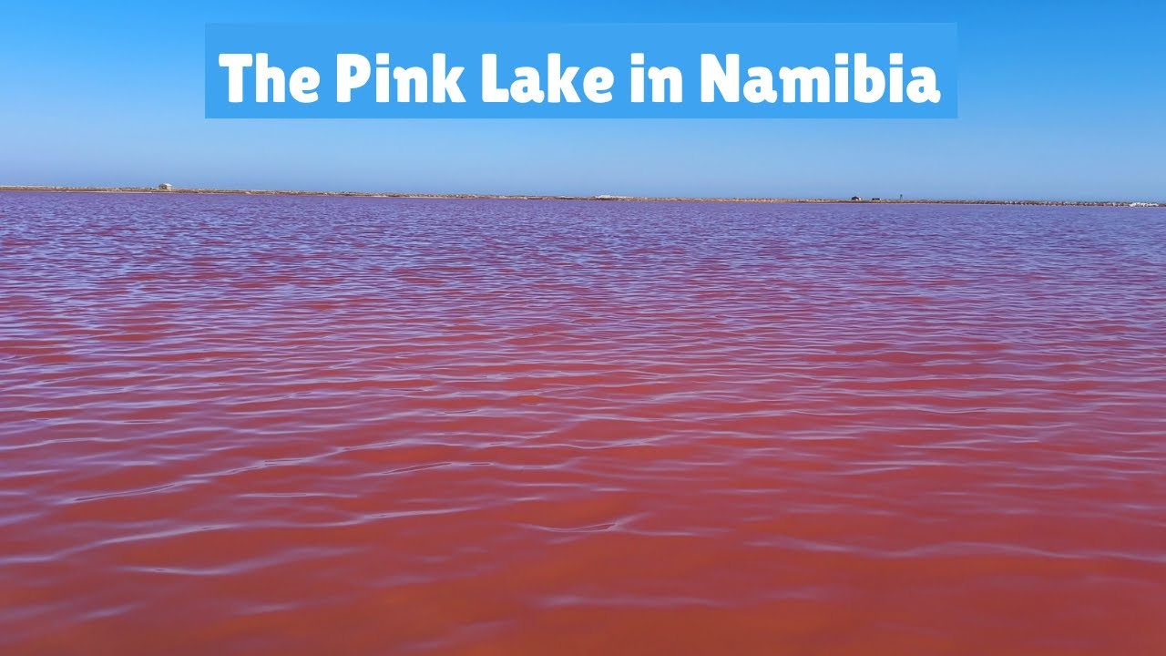 The Pink Lake in Namibia - YouTube