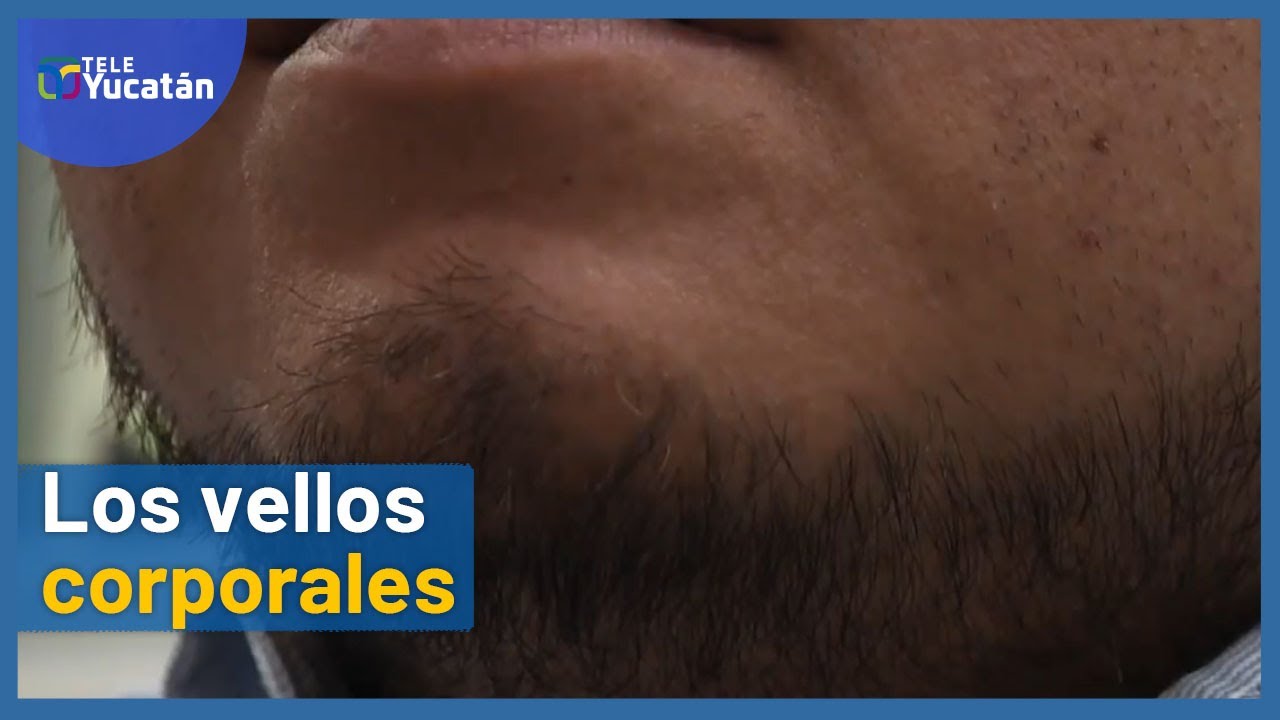 ¿Te has preguntado para qué sirven los vellos corporales?🤔 | TELE ...