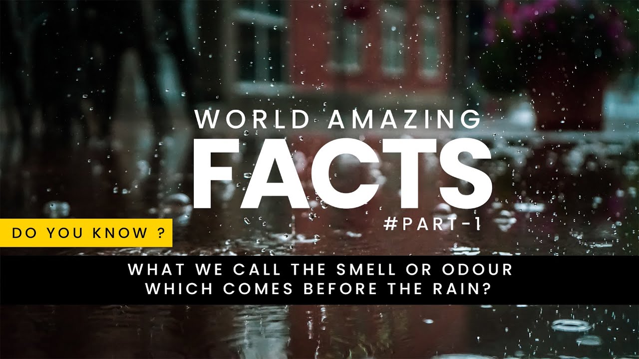 World Amazing Facts | Part - 1, Funny Logics and Facts which blow your ...