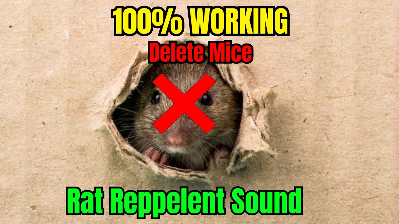 15000Hz, 17500Hz & 20000Hz Ultrasonic Ultimate Extreme Mouse and Rat ...