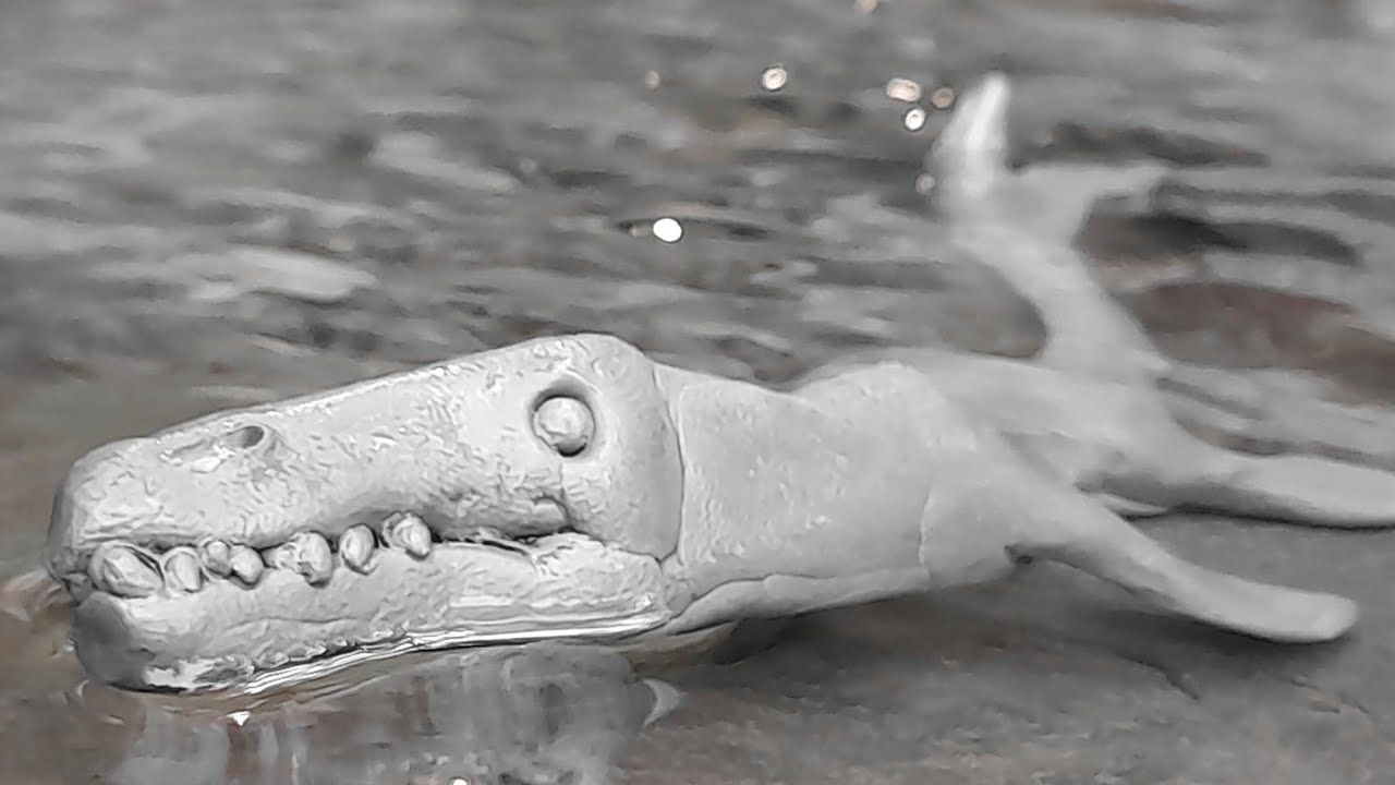 Test Mosasaurs - YouTube