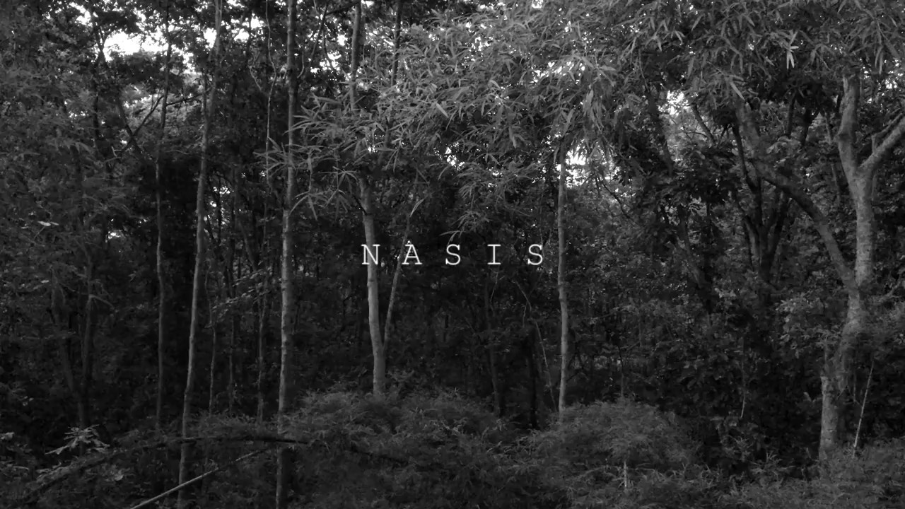 NASIS - Mary Jane | Official Lyric Video - YouTube