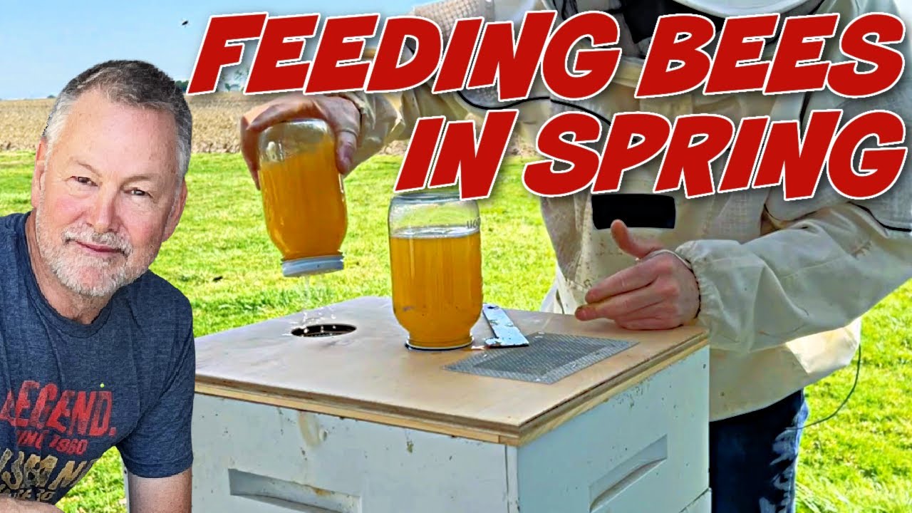 Beekeeping: How to Feed Bees In The Spring - YouTube