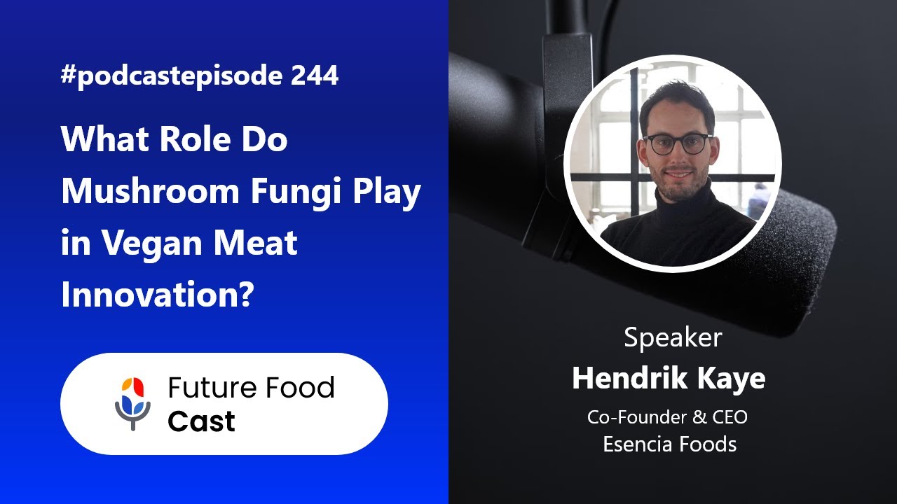 What Role Do Mushroom Fungi Play in Vegan Meat Innovation 🍄? (Spoiler ...