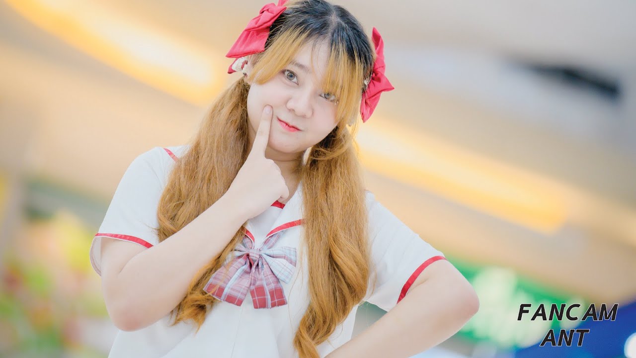 100623 Fruits Basket cover Fruits Zipper [ Ant Focus ] @ SC PLAZA x IIF ...