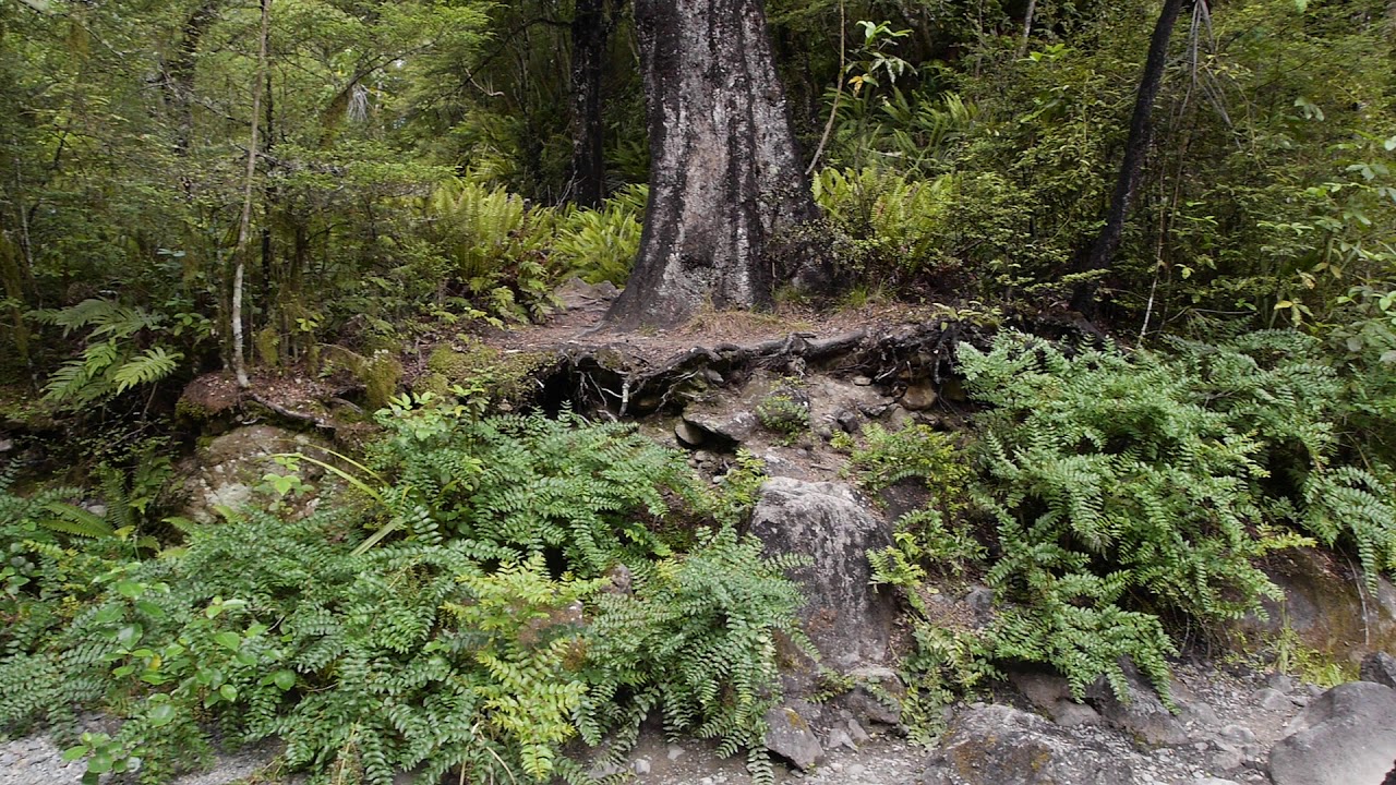 GH3 video test - YouTube