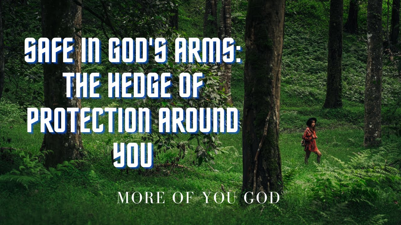 Safe in God's Arms: The Hedge of Protection Around You | Word + Prayer ...