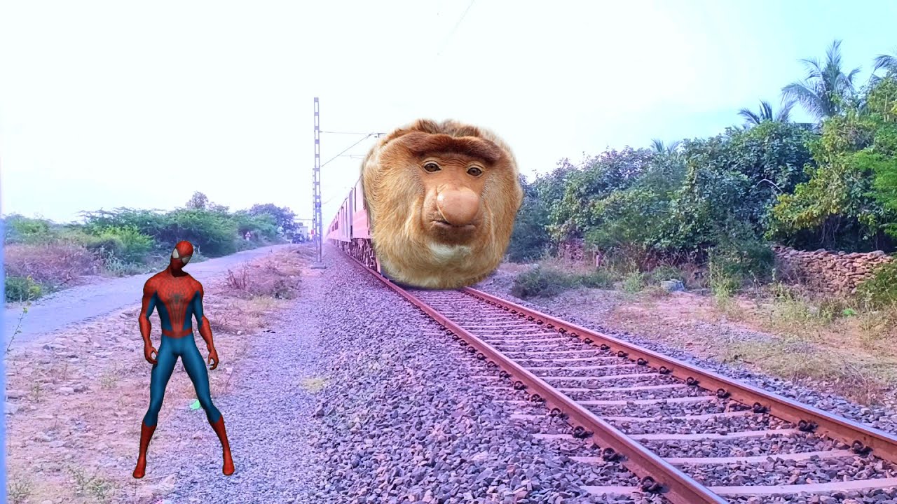monkey funny train moments video - monkey looking very nice - beautiful ...