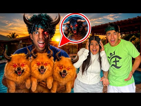 O BOI DA CARA PRETA POSSUIU NOSSOS CACHORROS E O GABRIEL! *eles tem que voltar ao normal *