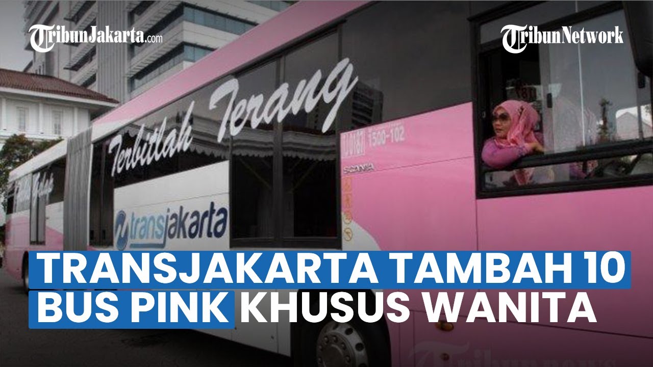Transjakarta Tambah 10 Bus Pink Khusus Wanita, Sudah Beroperasi Sejak ...
